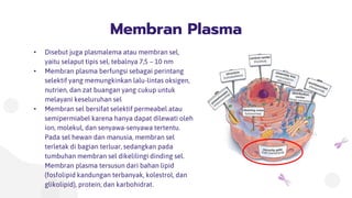 Pertemuan 2 Ilmu Hayat. pembahasan tentang anatomi | PDF