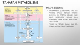 Pertemuan 2 Metabolisme energi.pptx