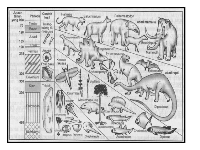 Pertemuan 2 pendekatan biogeografi | PPT
