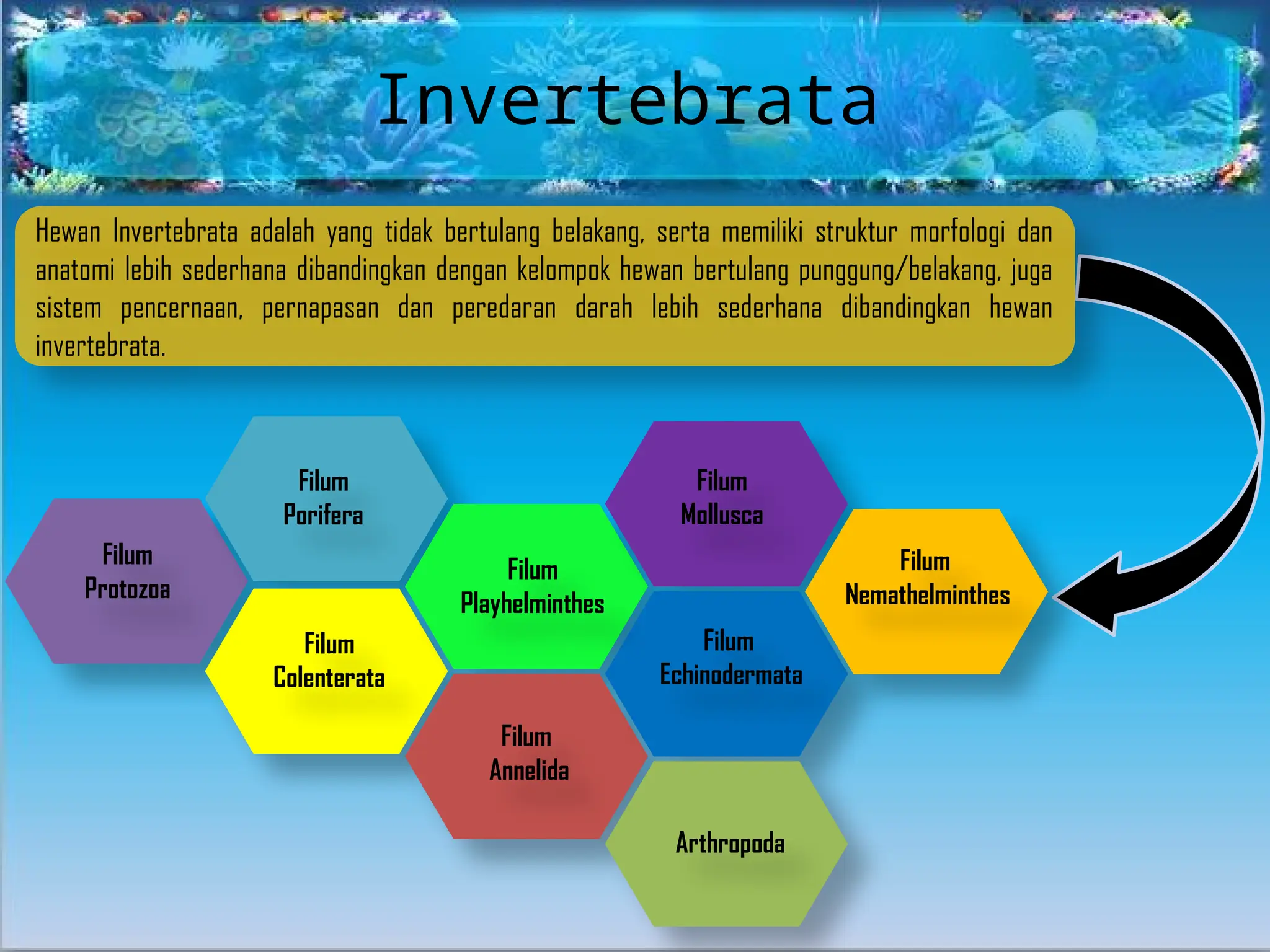 pertemuan 2 pola perkembangan tubuh hewan vertebrata dan invertebrata.pptx