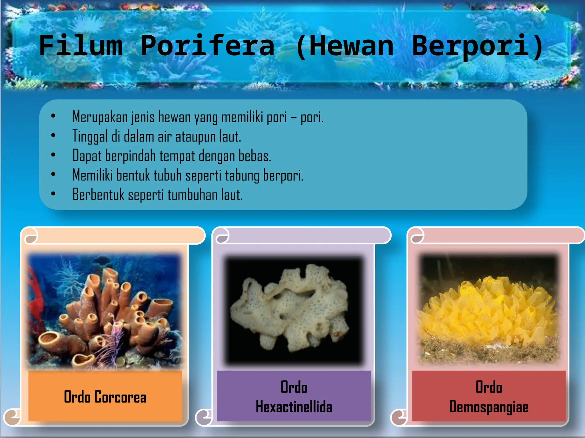 pertemuan 2 pola perkembangan tubuh hewan vertebrata dan invertebrata.pptx