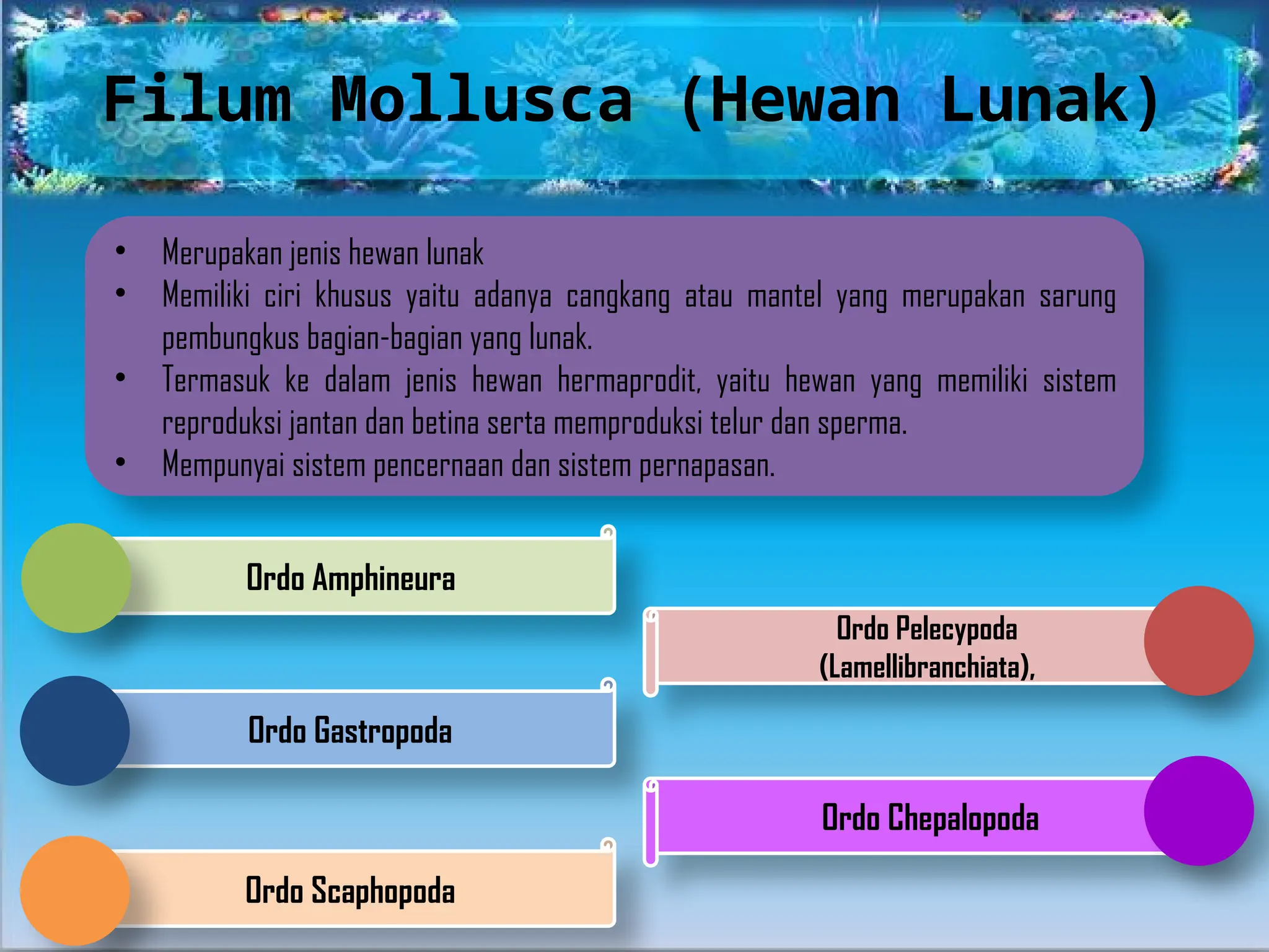 pertemuan 2 pola perkembangan tubuh hewan vertebrata dan invertebrata.pptx