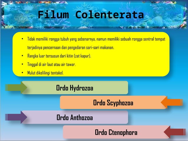 pertemuan 2 pola perkembangan tubuh hewan vertebrata dan invertebrata.pptx