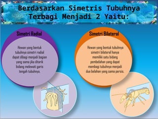 pertemuan 2 pola perkembangan tubuh hewan vertebrata dan invertebrata.pptx
