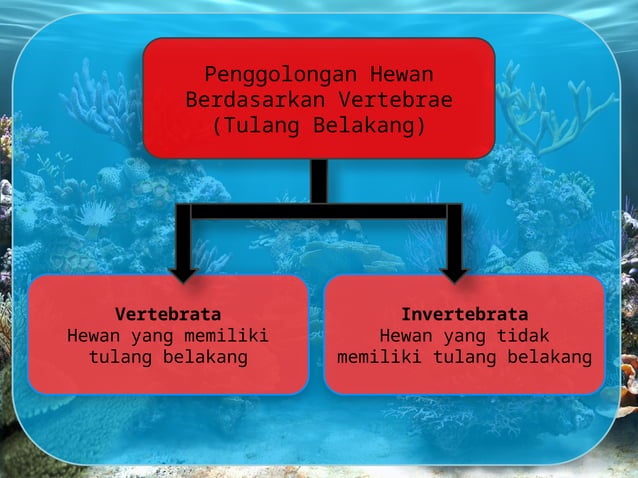 pertemuan 2 pola perkembangan tubuh hewan vertebrata dan invertebrata.pptx