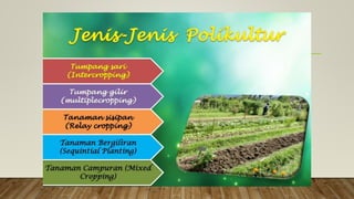 Pertemuan 2 POLA TANAM Tanaman Budidaya.pptx
