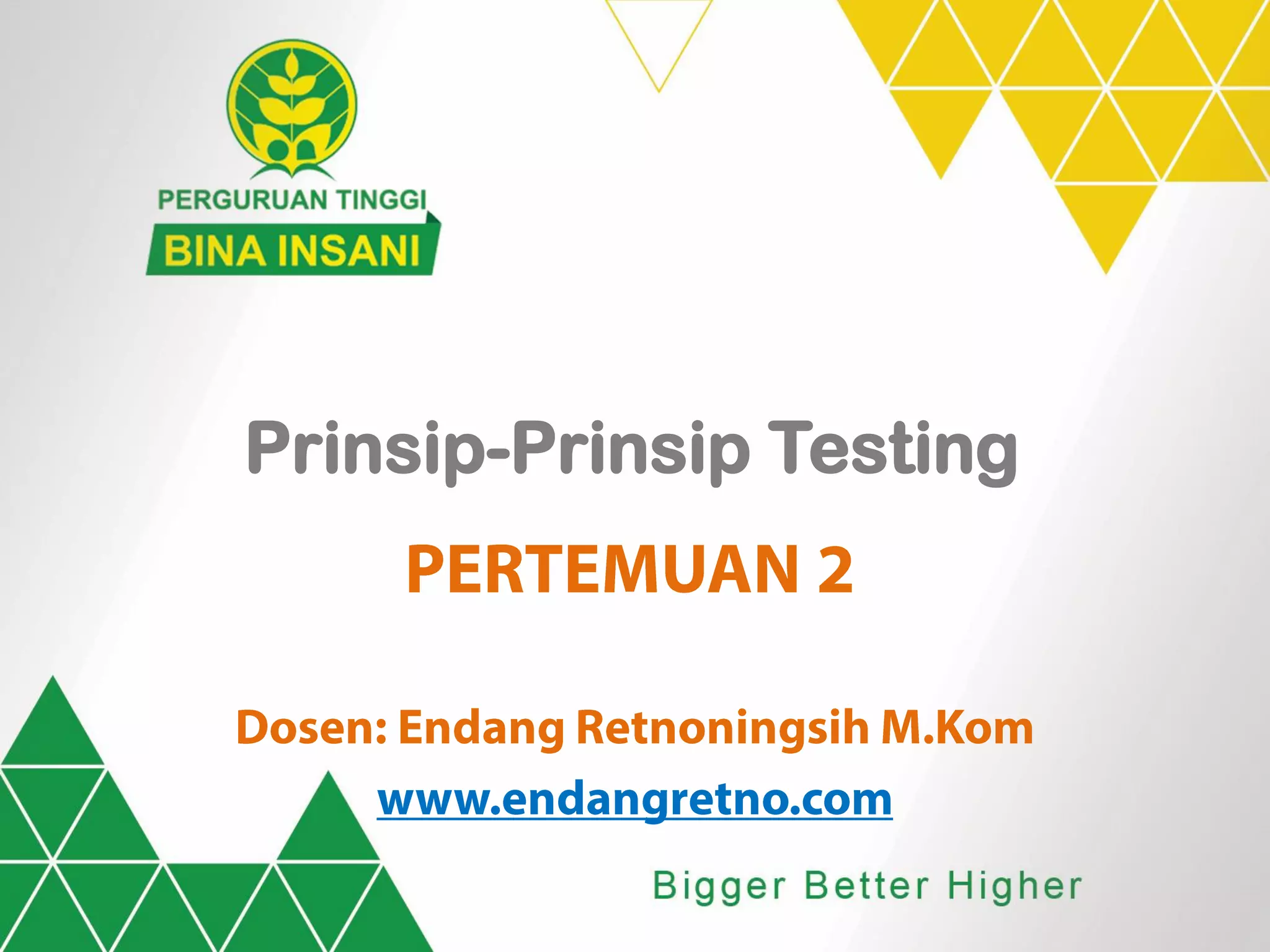 Pertemuan 2 Prinsip Prinsip Testing Pdf