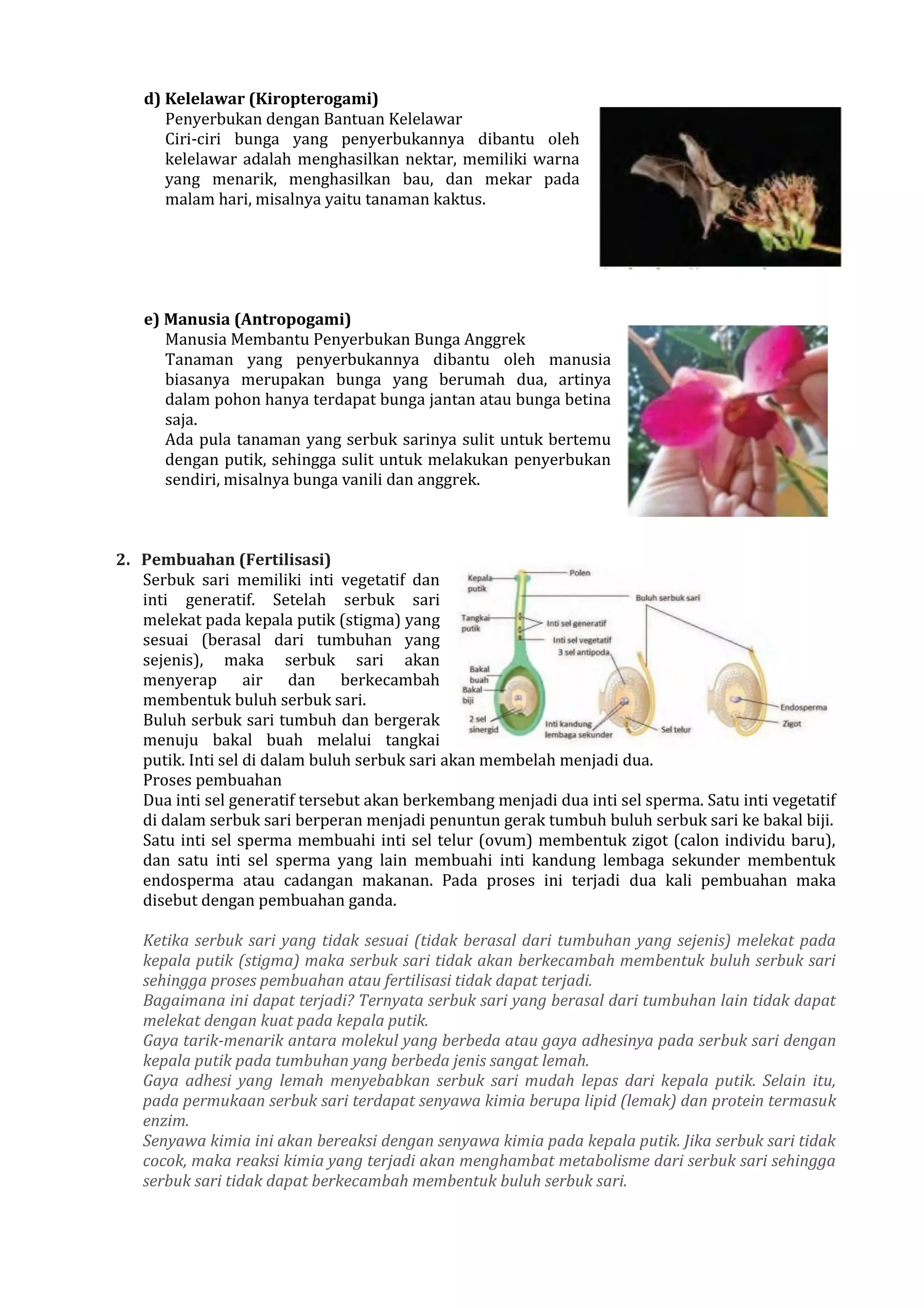 Pertemuan 2 sistem reproduksi pada tumbuhan | PDF