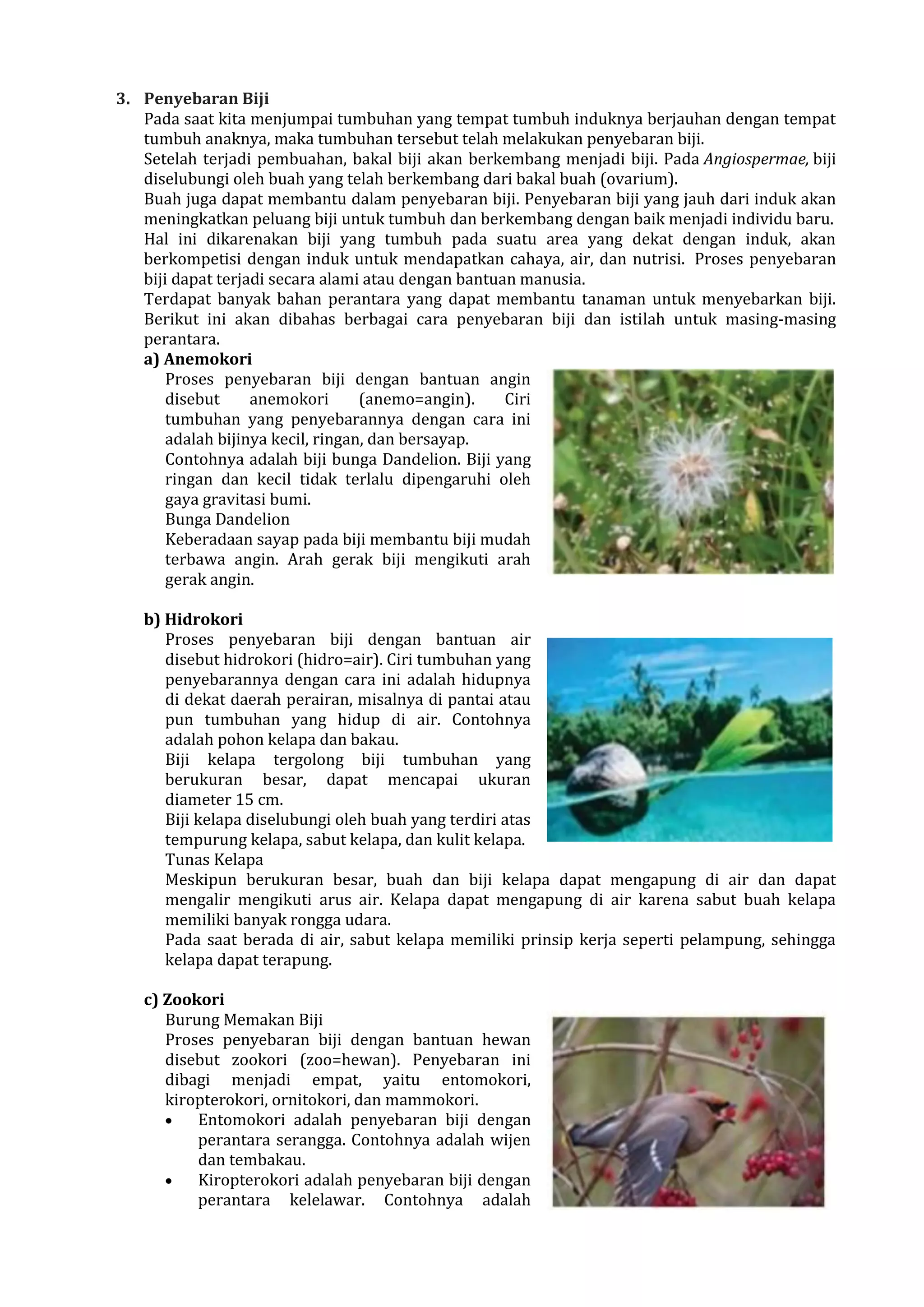 Pertemuan 2 sistem reproduksi pada tumbuhan | PDF