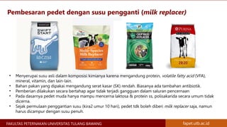 Manajemen Pemeliharaan pada Ternak Perah (Pedet dan Dara) - Materi ...