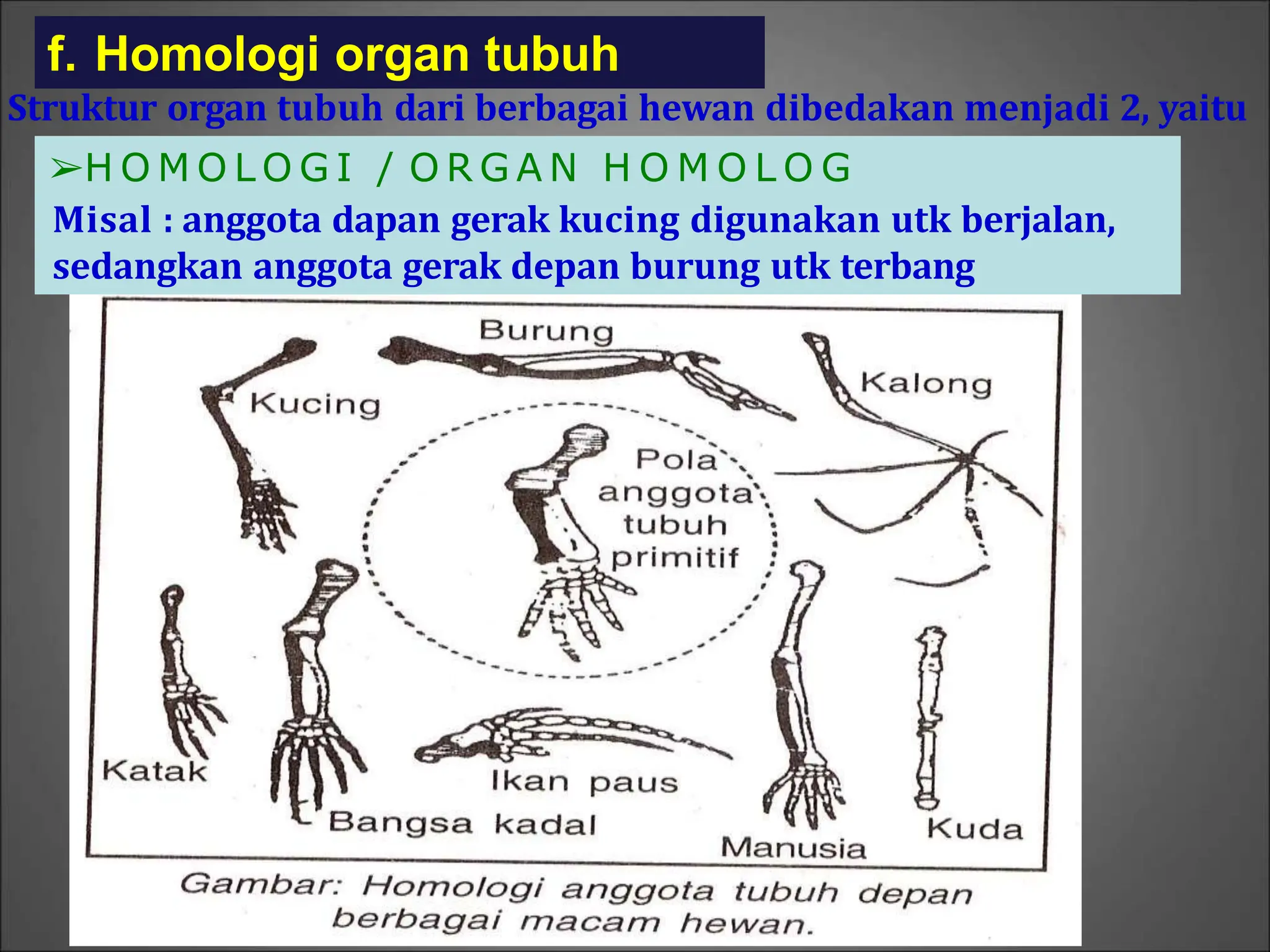 Pertemuan tiga puluh tiga Teori Evolusi.pptx