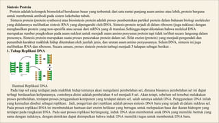 PERTEMUAN 3 DAN 4 BIOTEKNOLOGI.pdf