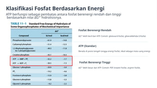 Pertemuan 3_Dasar-dasar Bioenergetika dan Metabolisme.pptx