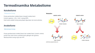 Pertemuan 3_Dasar-dasar Bioenergetika dan Metabolisme.pptx