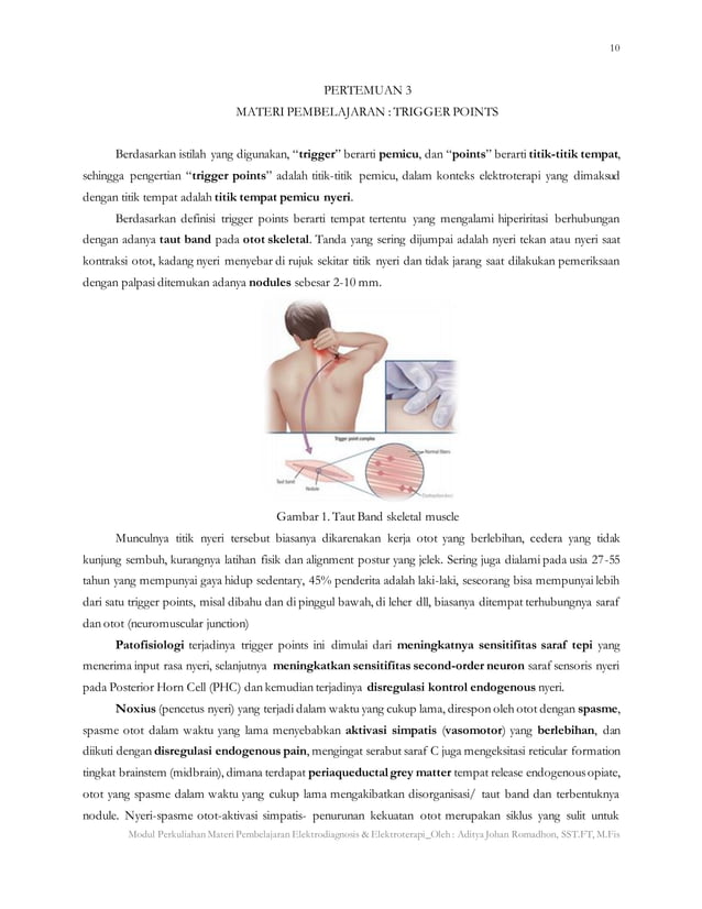 Modul Trigger Points | PDF