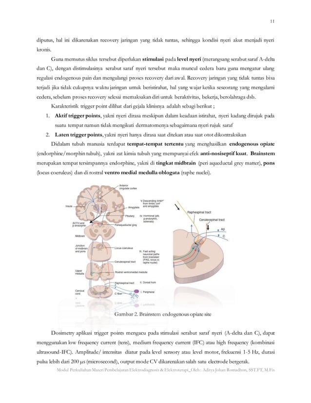 Modul Trigger Points | PDF