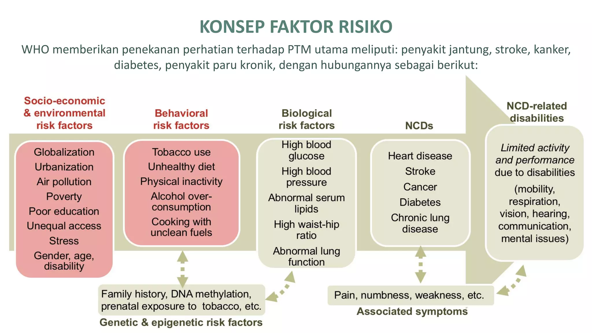 Konsep Faktor Risiko Penyakit Tidak Menular chapter 2 | PDF