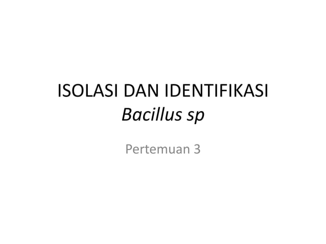 Pertemuan 3 ISOLASI DAN IDENTIFIKASI Bacillus sp.pptx