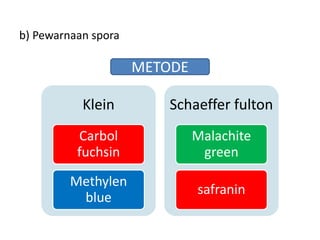 Pertemuan 3 ISOLASI DAN IDENTIFIKASI Bacillus sp.pptx