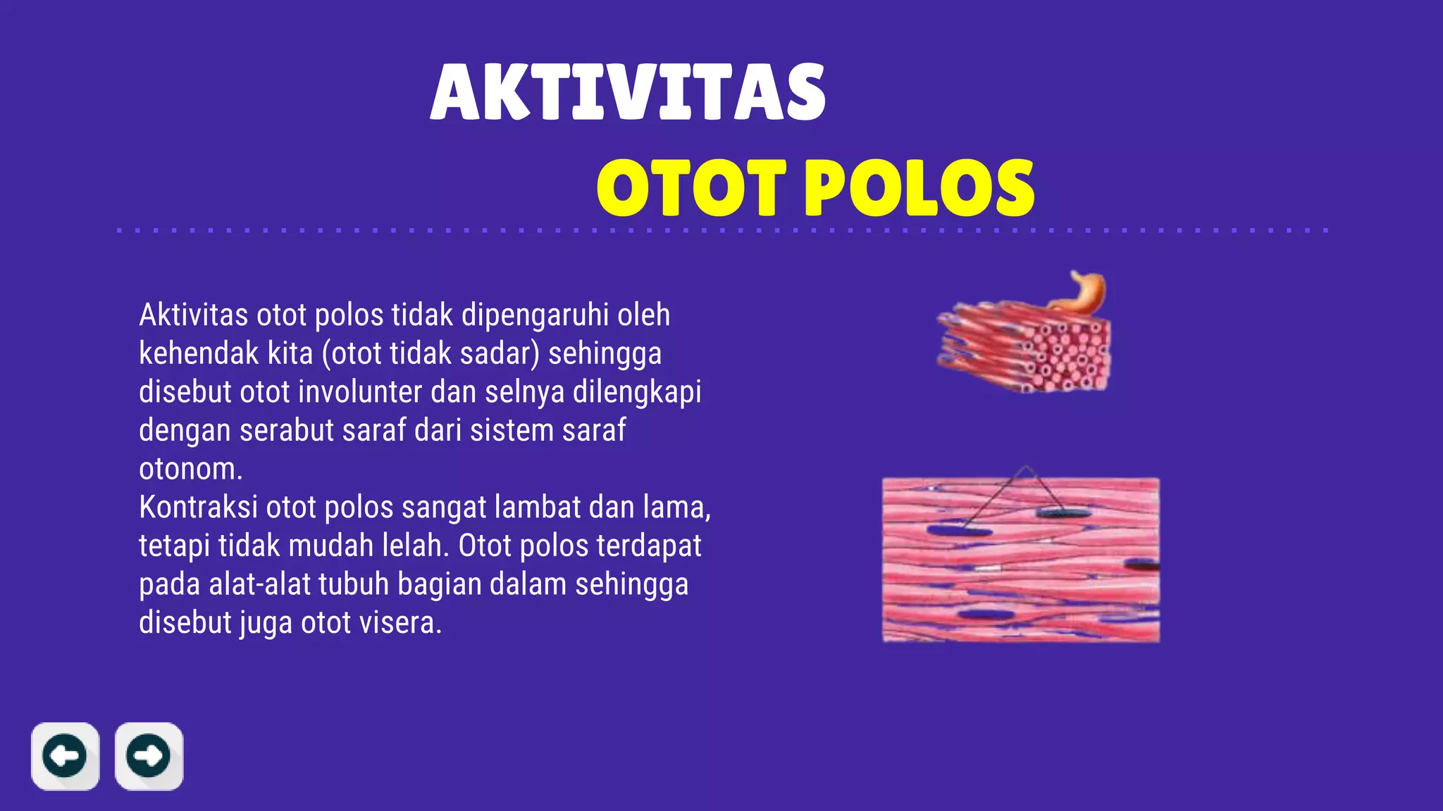 Sistem Otot | PPTX