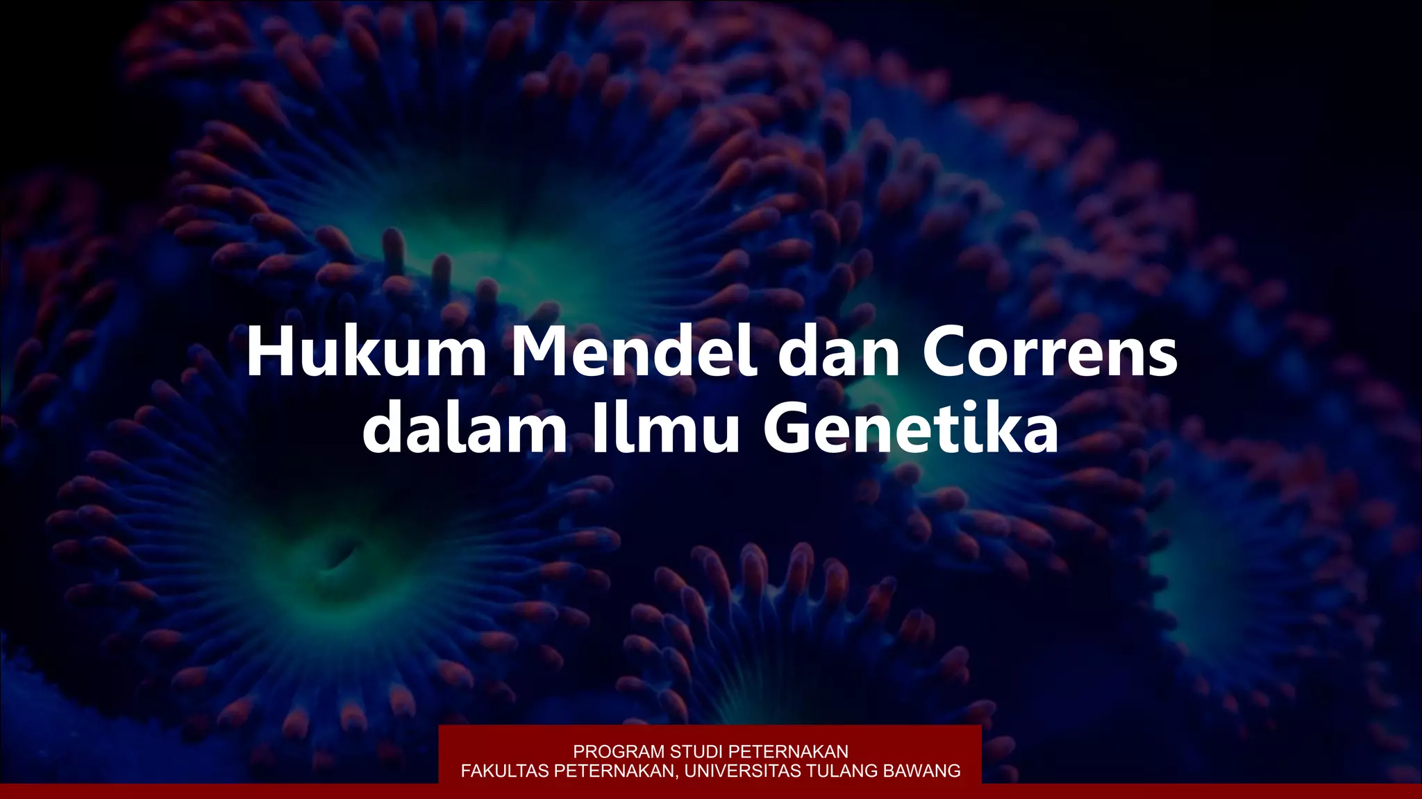 Pengertian Genotip, Fenotip, dan Parameter Genetik Ternak - Materi ...