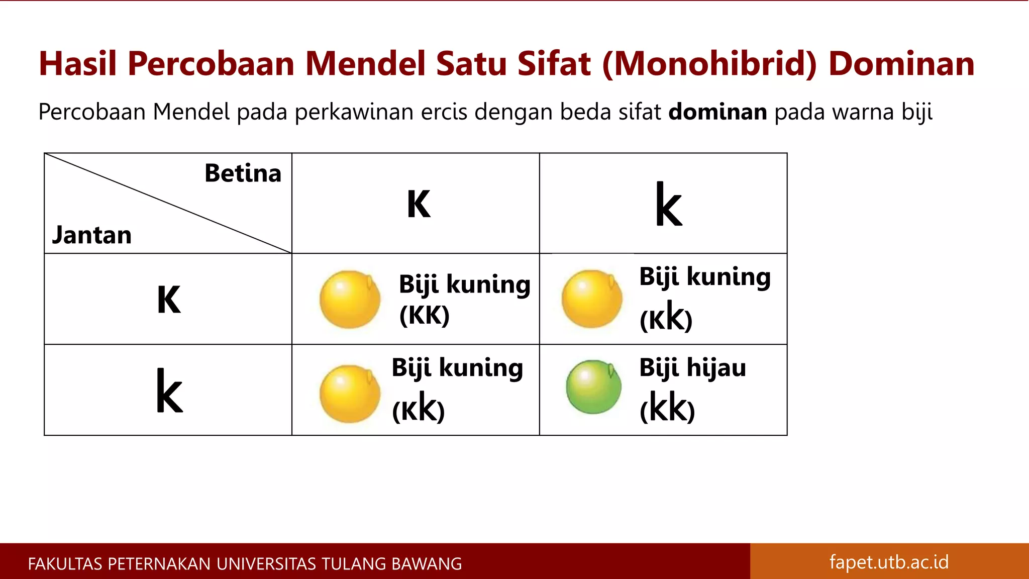 Pengertian Genotip, Fenotip, dan Parameter Genetik Ternak - Materi ...
