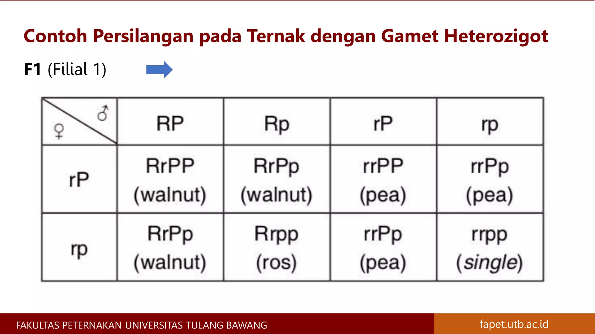 Pengertian Genotip, Fenotip, dan Parameter Genetik Ternak - Materi ...