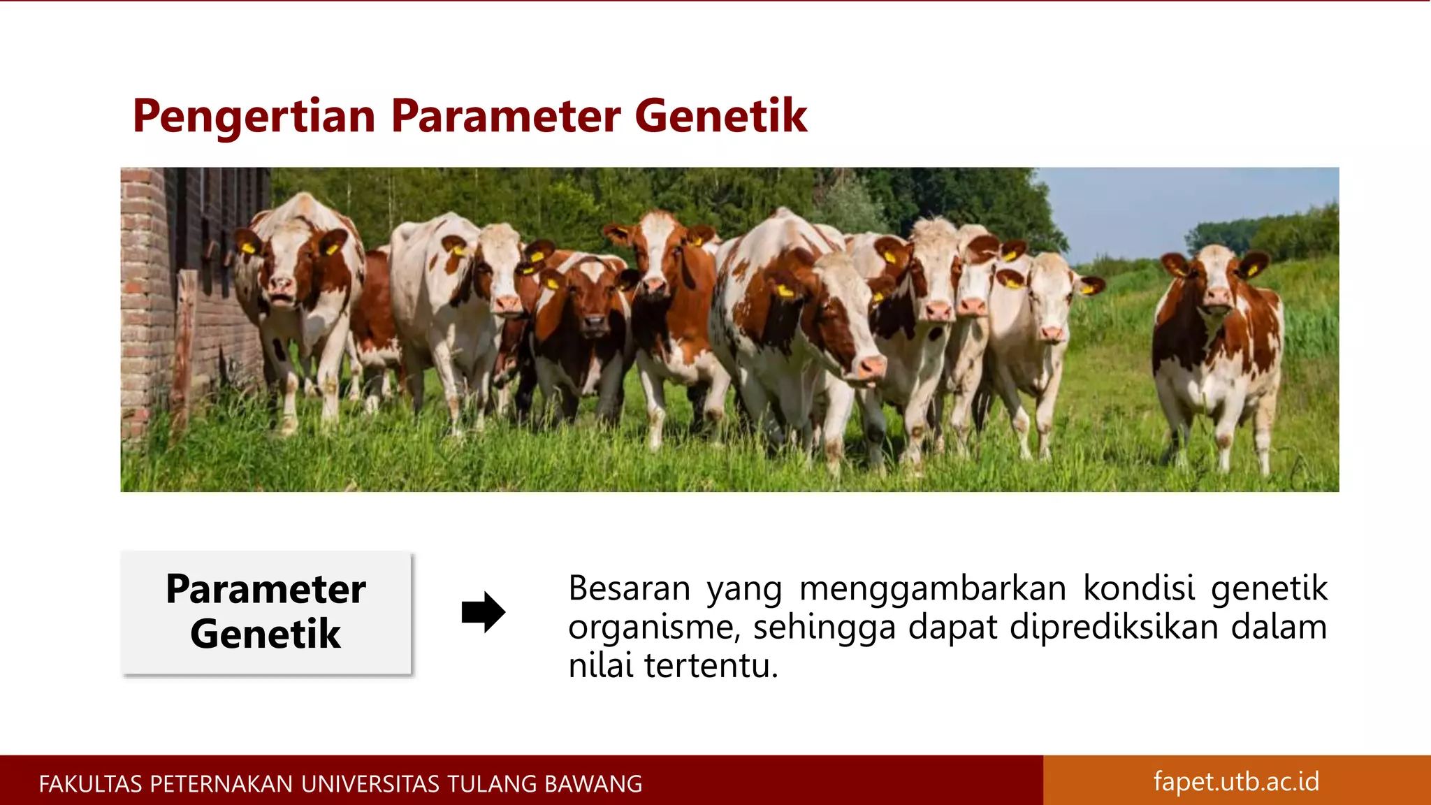 Pengertian Genotip, Fenotip, dan Parameter Genetik Ternak - Materi ...
