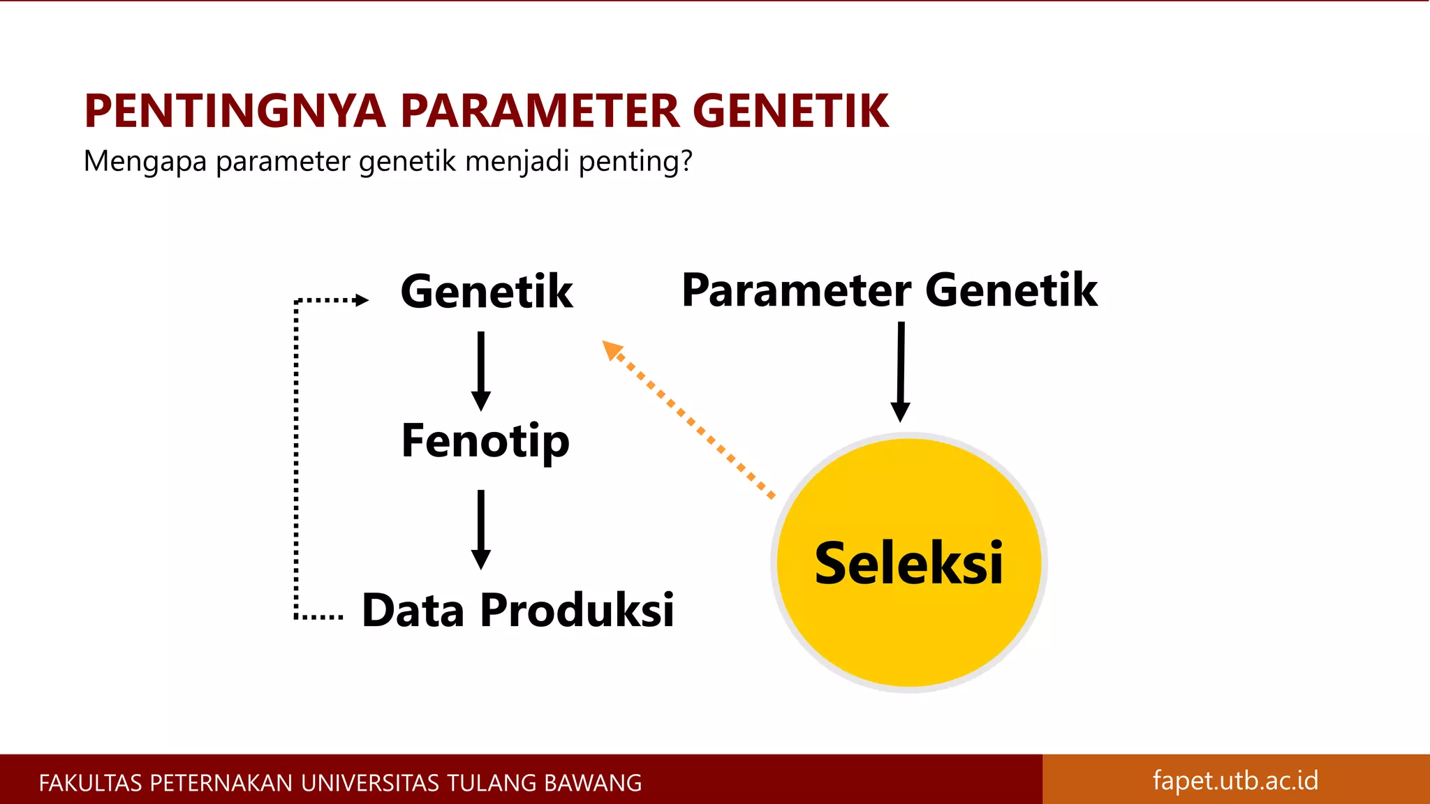 Pengertian Genotip, Fenotip, dan Parameter Genetik Ternak - Materi ...