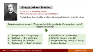 Pengertian Genotip, Fenotip, dan Parameter Genetik Ternak - Materi ...