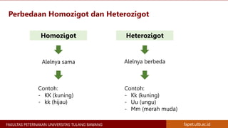 Pengertian Genotip, Fenotip, dan Parameter Genetik Ternak - Materi ...