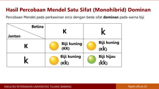 Pengertian Genotip, Fenotip, dan Parameter Genetik Ternak - Materi ...