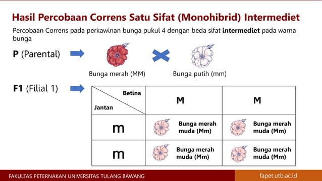 Pengertian Genotip, Fenotip, dan Parameter Genetik Ternak - Materi ...