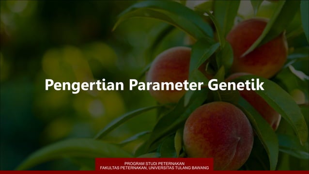 Pengertian Genotip, Fenotip, dan Parameter Genetik Ternak - Materi ...
