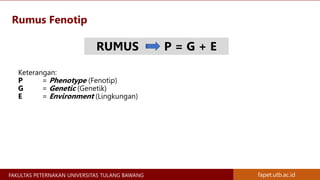 Pengertian Genotip, Fenotip, dan Parameter Genetik Ternak - Materi ...