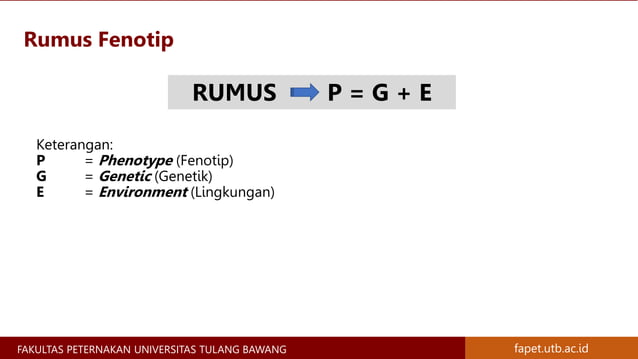 Pengertian Genotip, Fenotip, dan Parameter Genetik Ternak - Materi ...