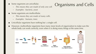 Pertemuan 4 Level of Organization, Tissues, Organs, and Organ System).pdf