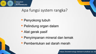 Anatomi dan Fisiologi Hewan Pertemuan 4 (Sistem Rangka).pptx