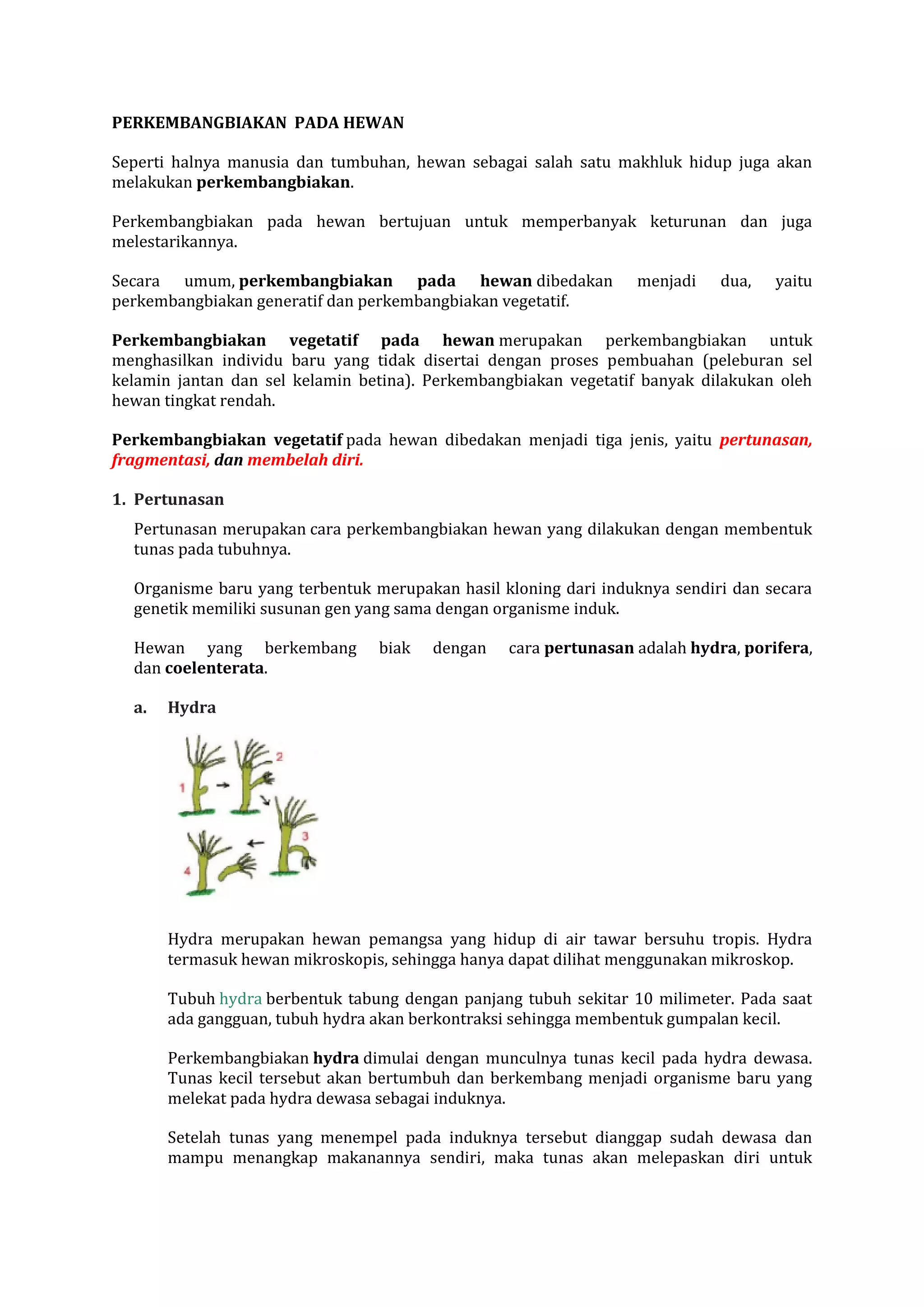 Pertemuan 4 Sistem reproduksi pada hewan | PDF