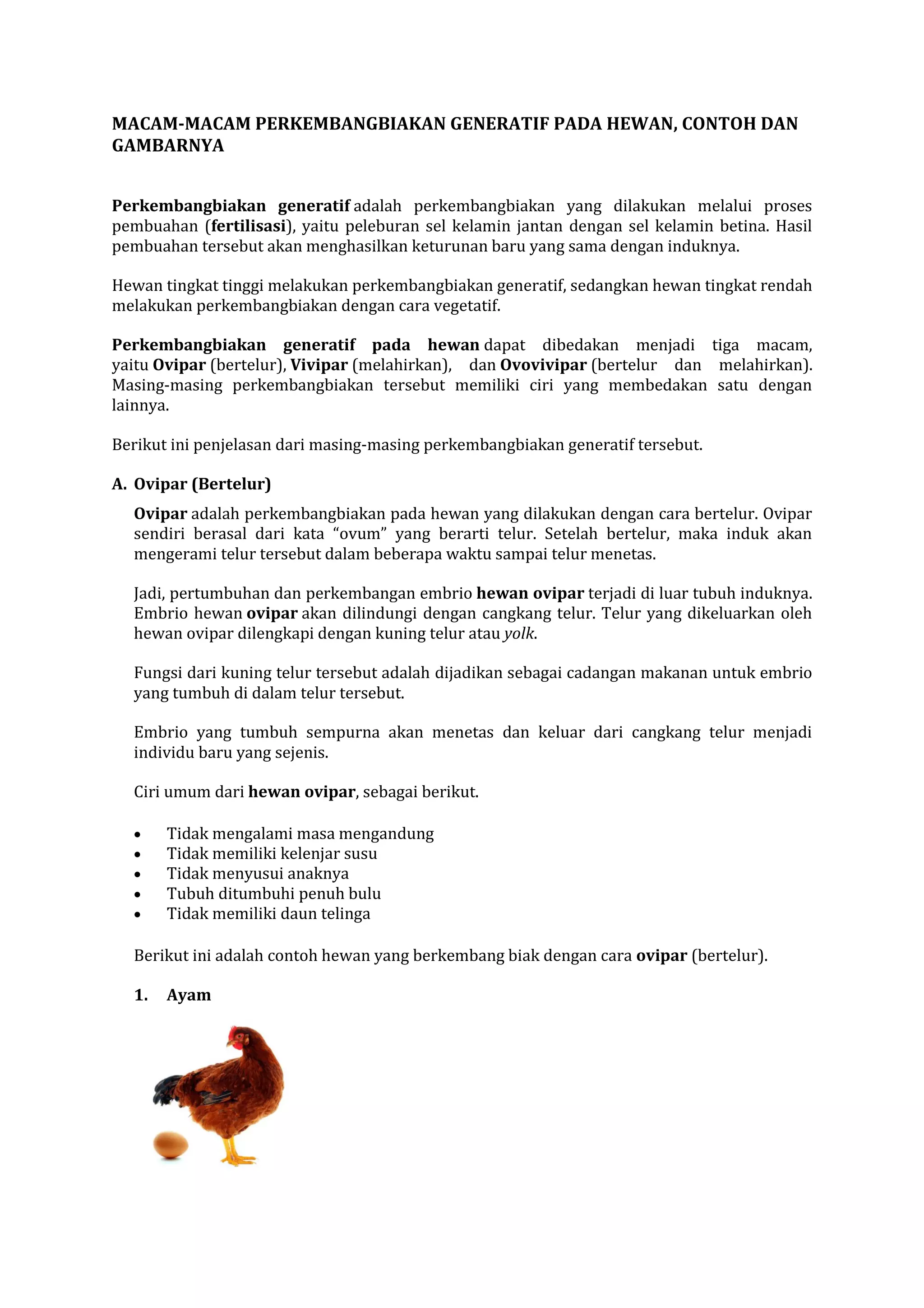 Pertemuan 4 Sistem reproduksi pada hewan | PDF