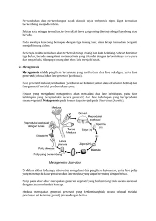 Pertemuan 4 Sistem reproduksi pada hewan | PDF