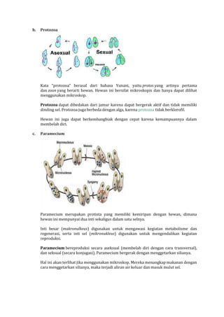 Pertemuan 4 Sistem reproduksi pada hewan | PDF