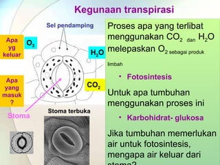 Fisiologi Tumbuhan Transpirasi dan gutasi.ppt