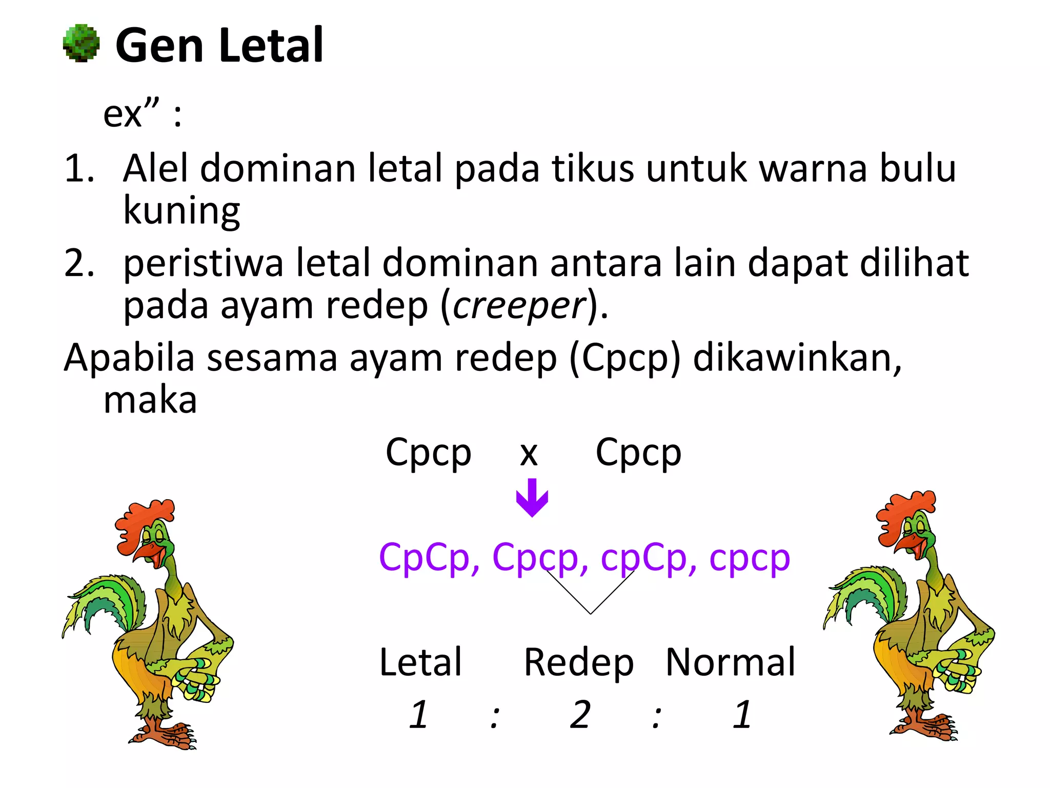 Pertemuan 5. interaksi alelik dan epistasisDasar-dasar Genetika Bu Rani | PPTX