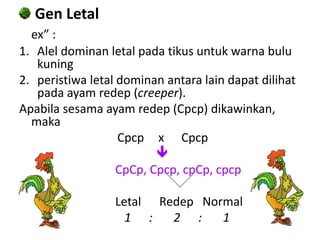 Pertemuan 5. interaksi alelik dan epistasisDasar-dasar Genetika Bu Rani | PPTX