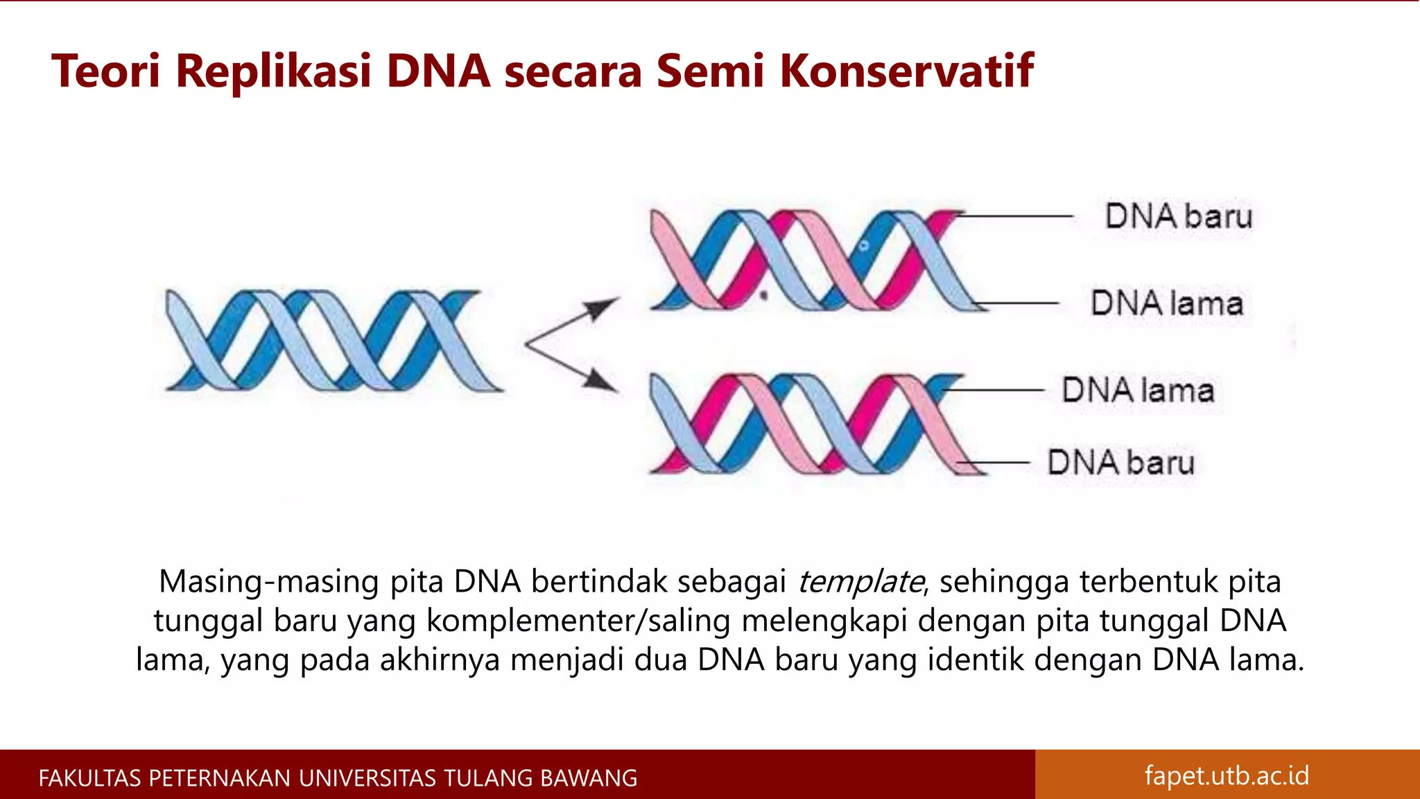 Materi Genetik Kromosom, Gen, DNA, dan RNA - Materi Genetika Ternak | PPTX