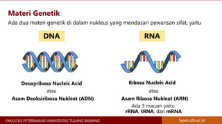 Materi Genetik Kromosom, Gen, DNA, dan RNA - Materi Genetika Ternak | PPTX