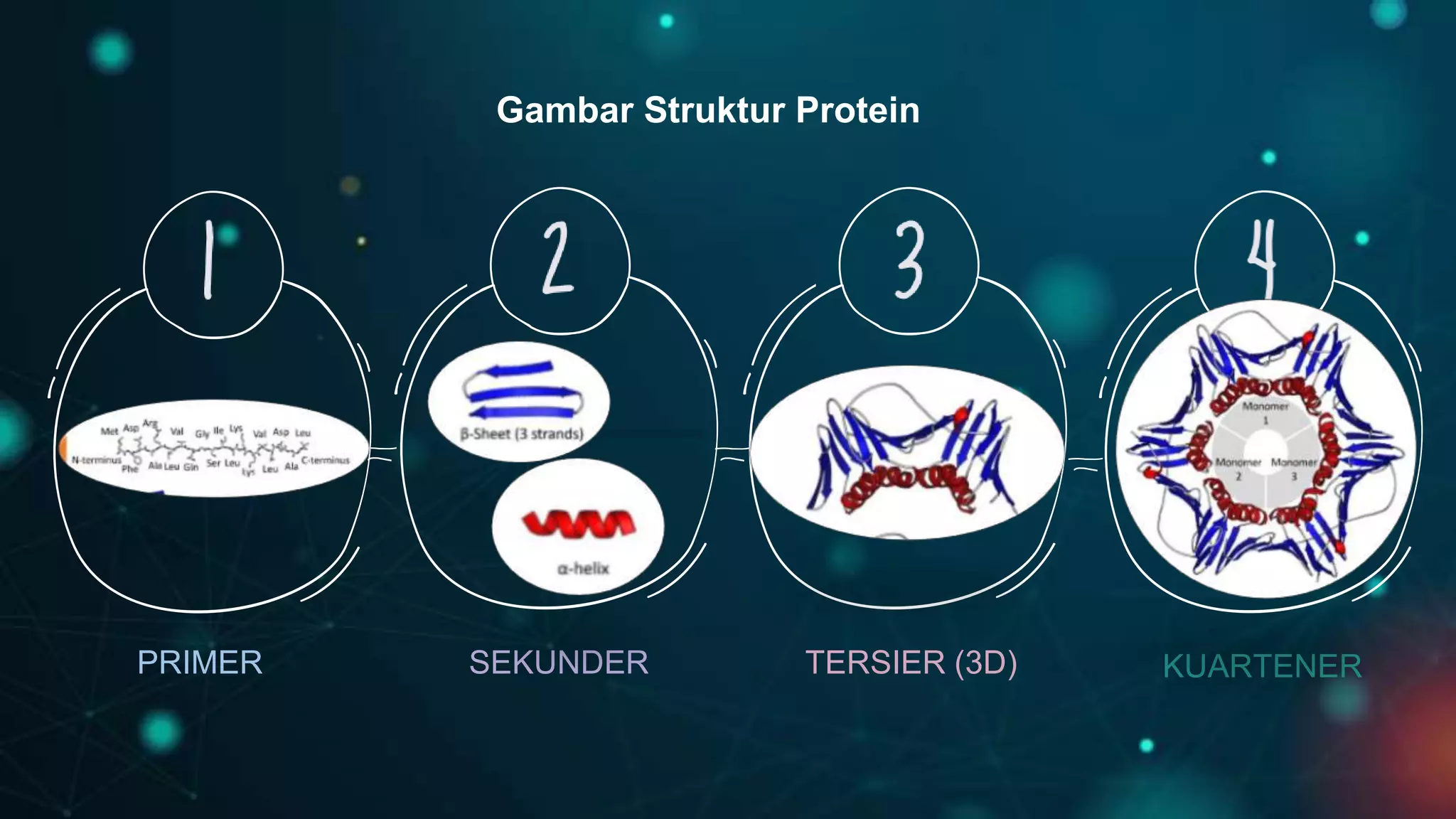 ProteinModelling | PPTX