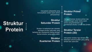 ProteinModelling | PPTX