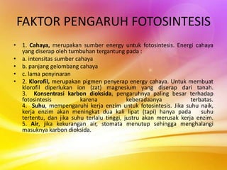 Pertemuan 5 Struktur dan fungsi tumbuhan.pptx